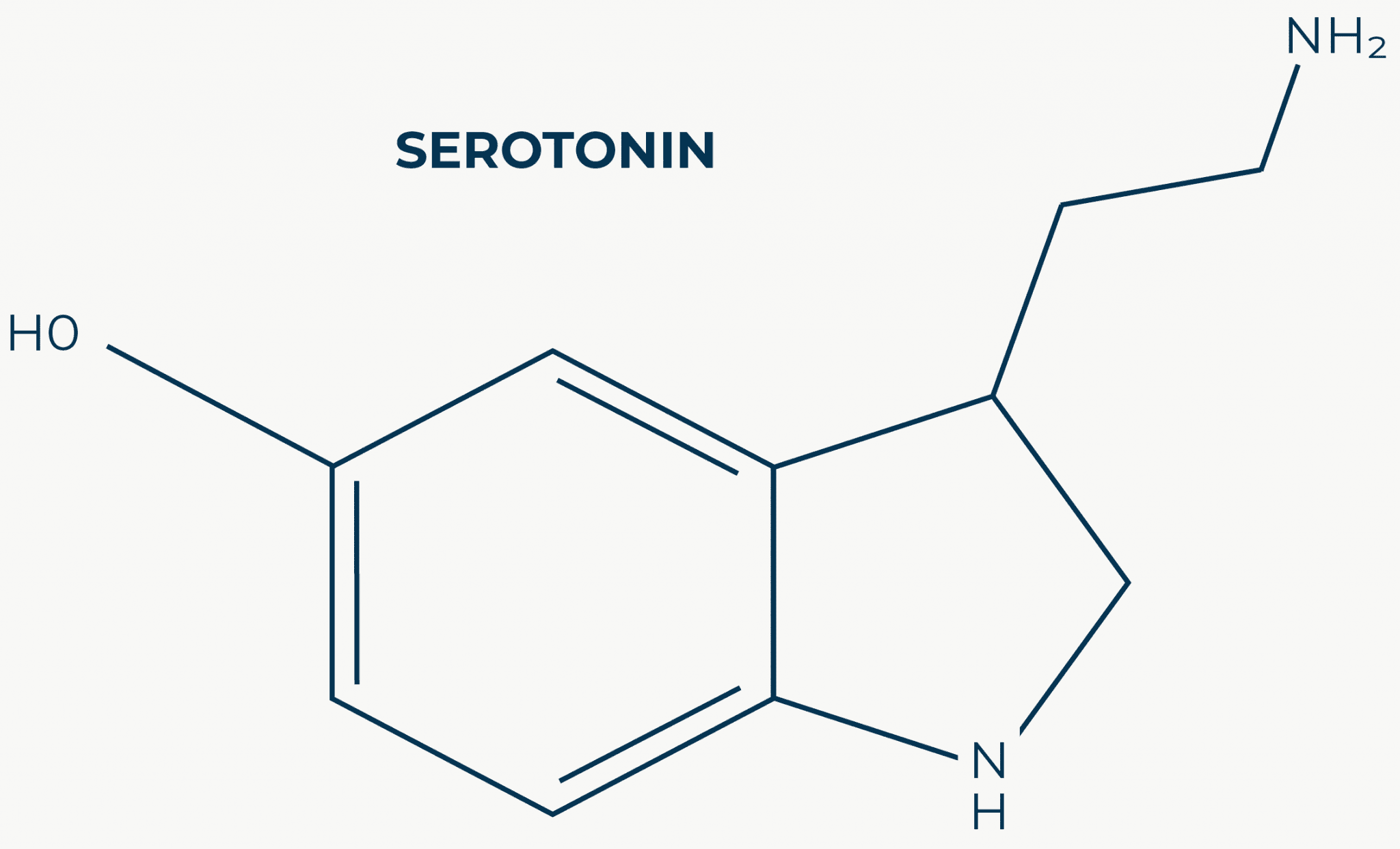 Brain Chemistry and Eating Disorders – how does it work | The Banyans