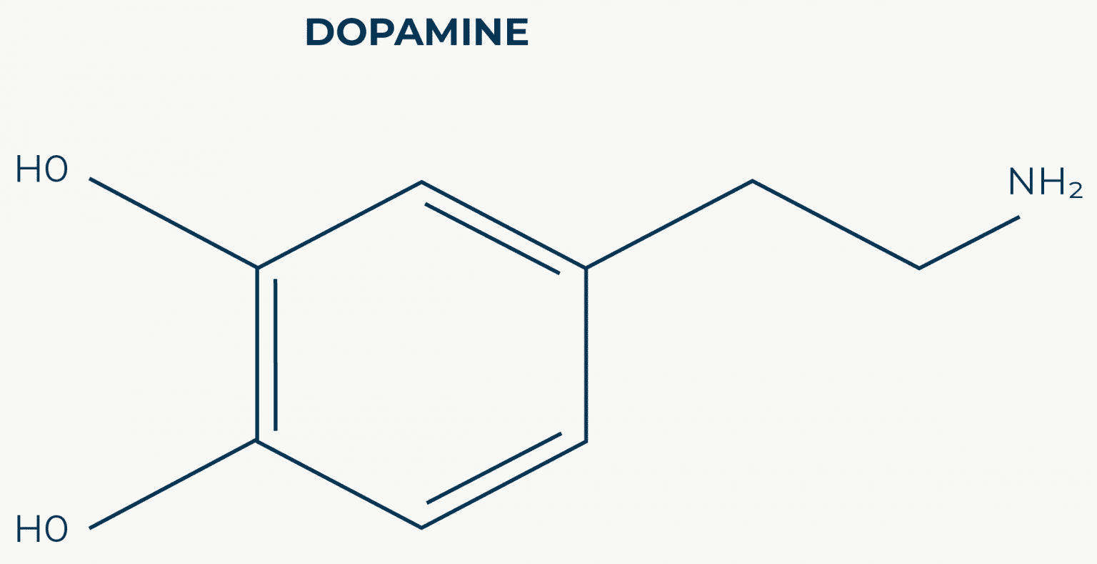 Brain Chemistry and Eating Disorders – how does it work | The Banyans